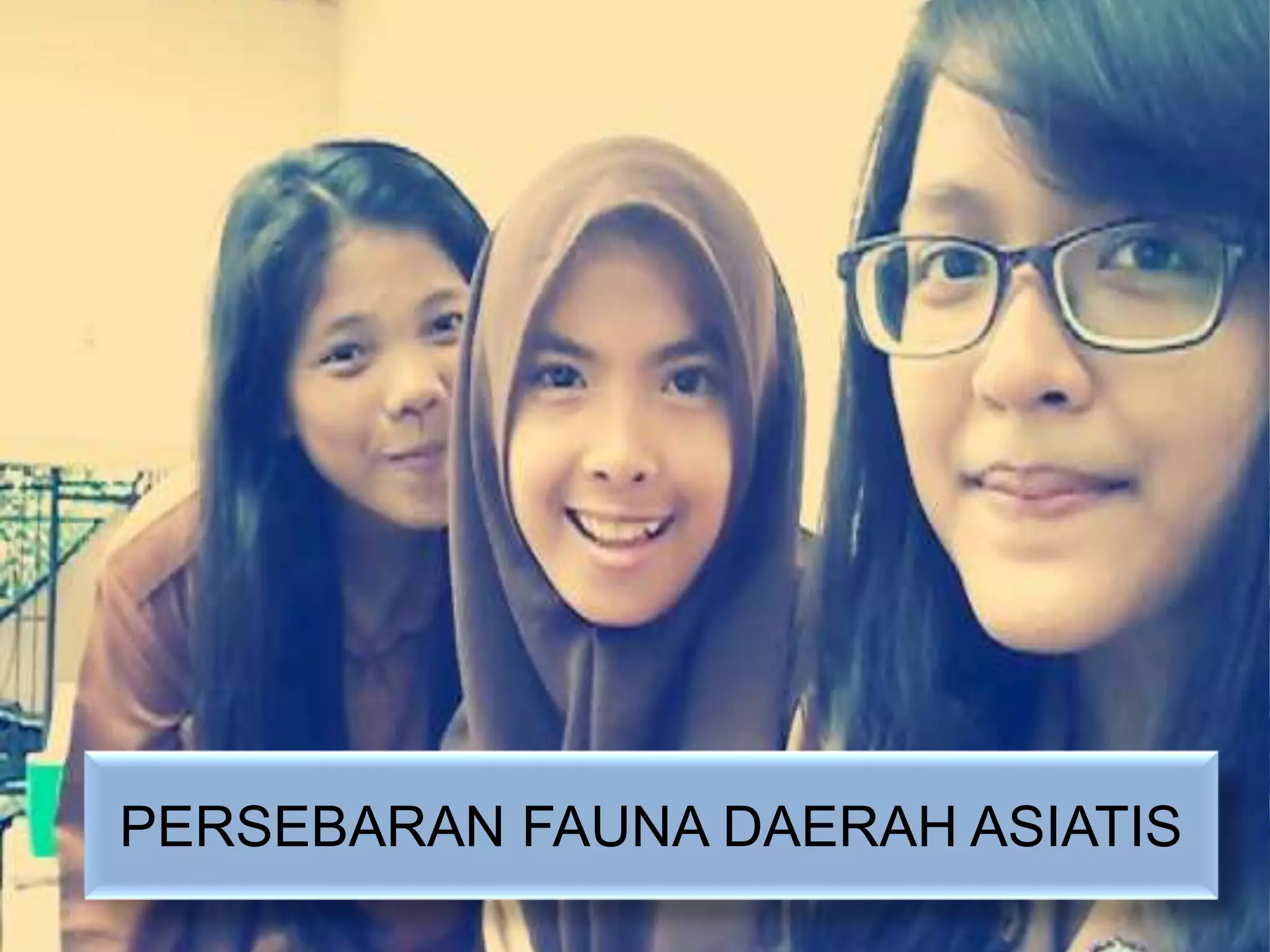 Persebaran fauna asiatis di indonsia | PPTX