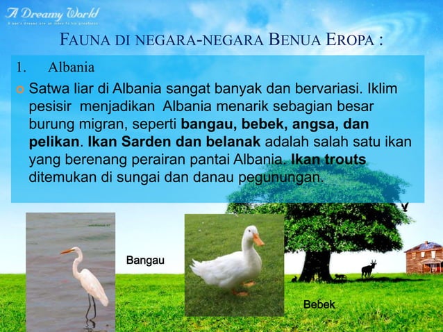 Persebaran fauna di benua eropa | PPT