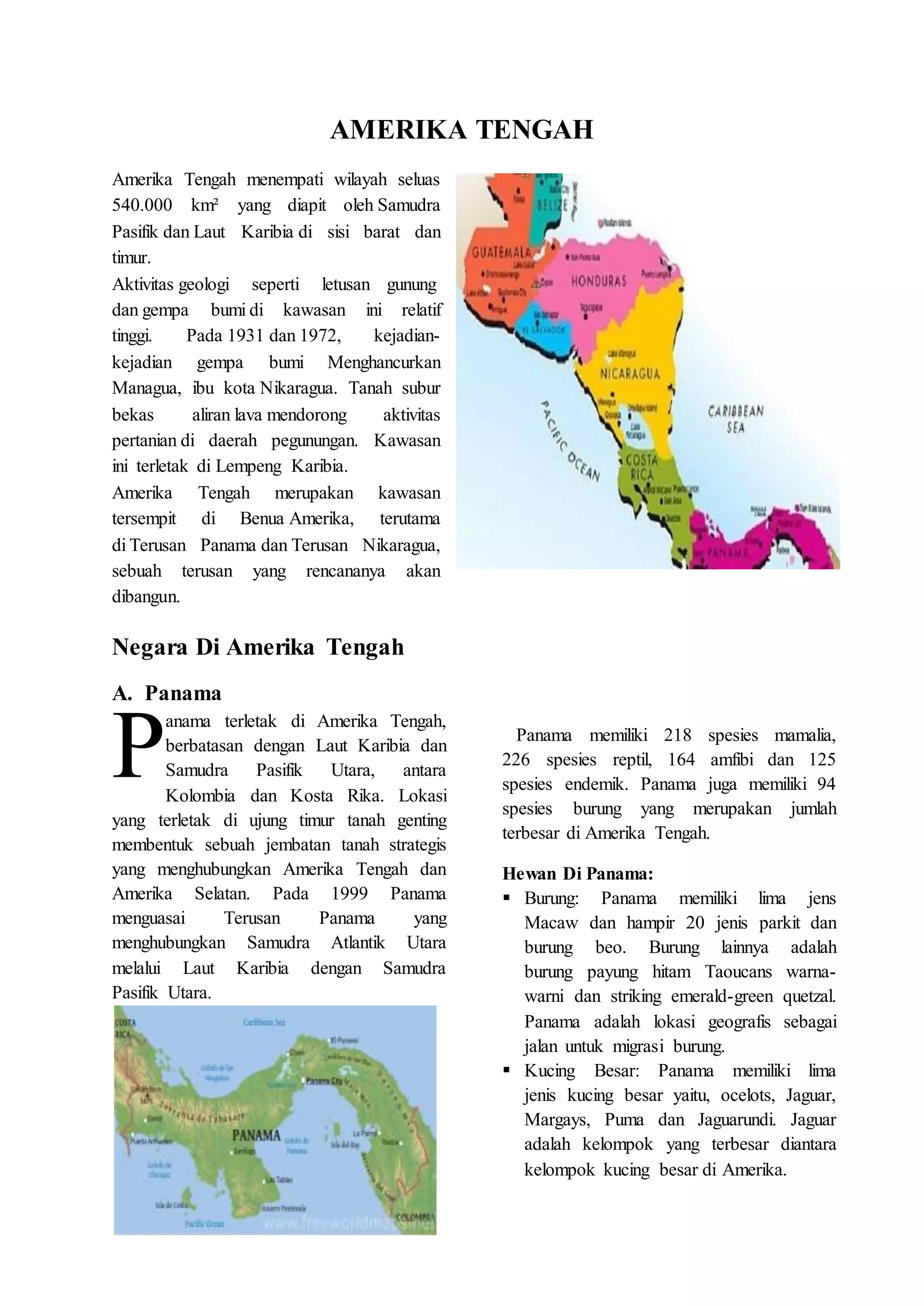 Persebaran Fauna Zona Neotropik | DOCX