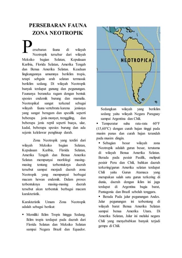 Persebaran Fauna Zona Neotropik | DOCX