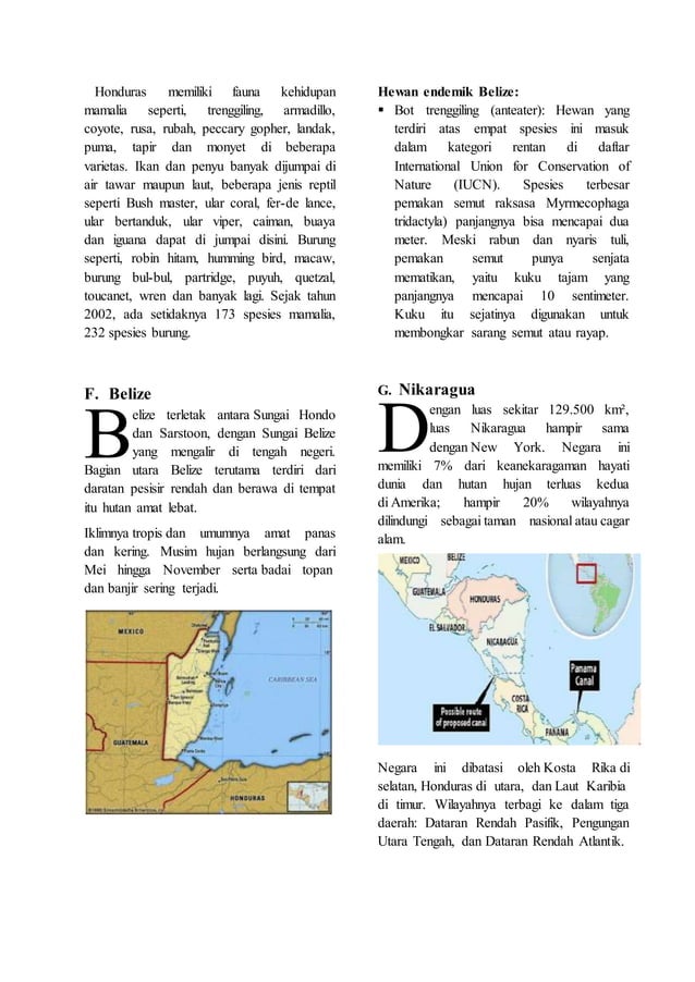 Persebaran Fauna Zona Neotropik | DOCX