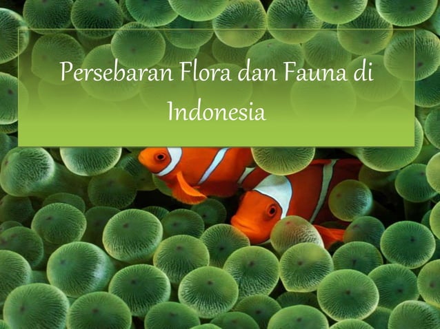 Persebaran flora dan fauna | PPT