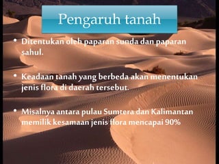 Persebaran flora dan fauna | PPTX