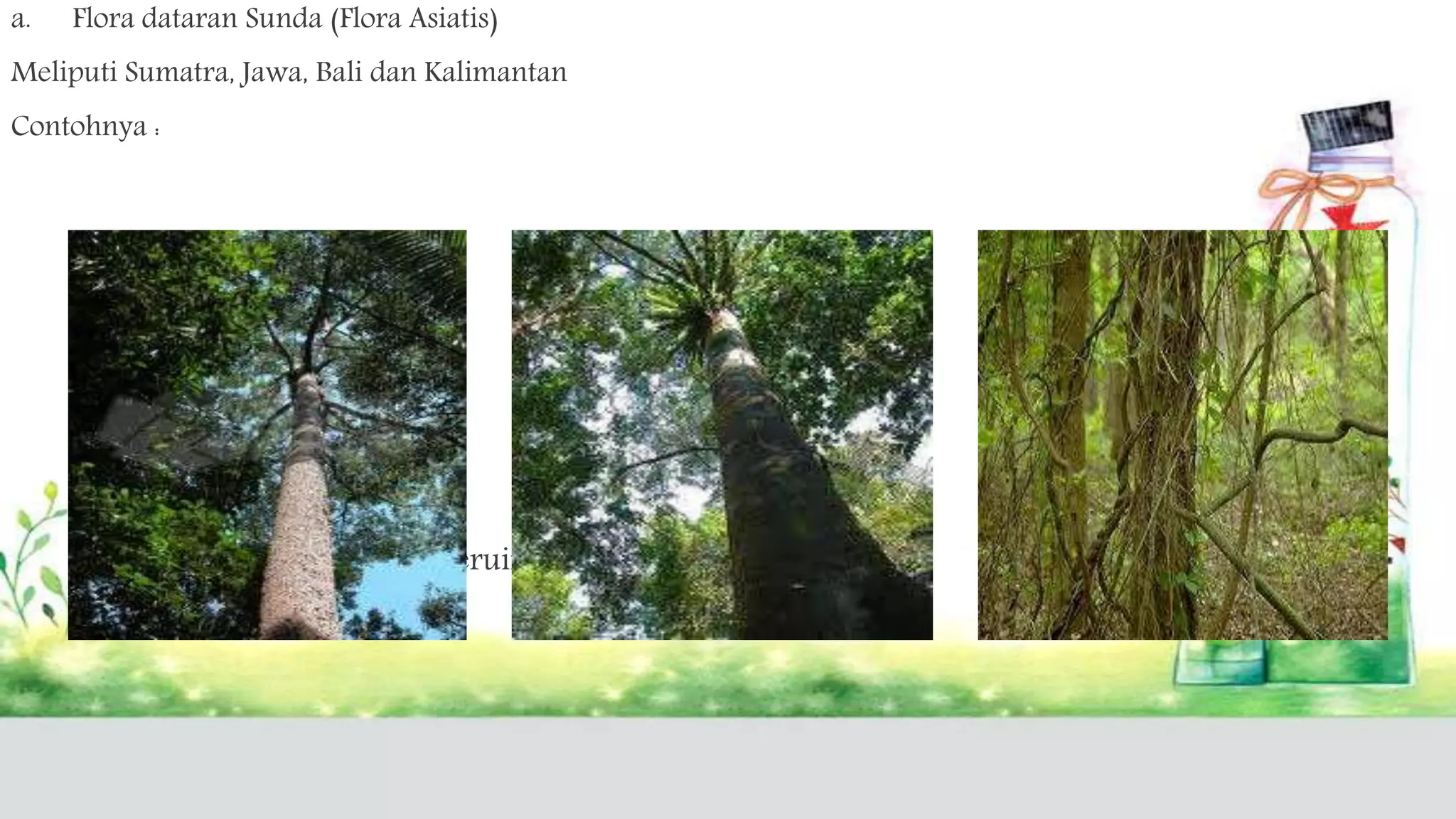 Persebaran flora dan fauna | PPTX