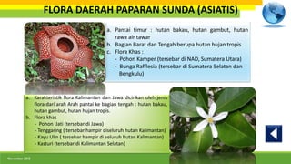 Persebaran flora dan fauna | PPTX