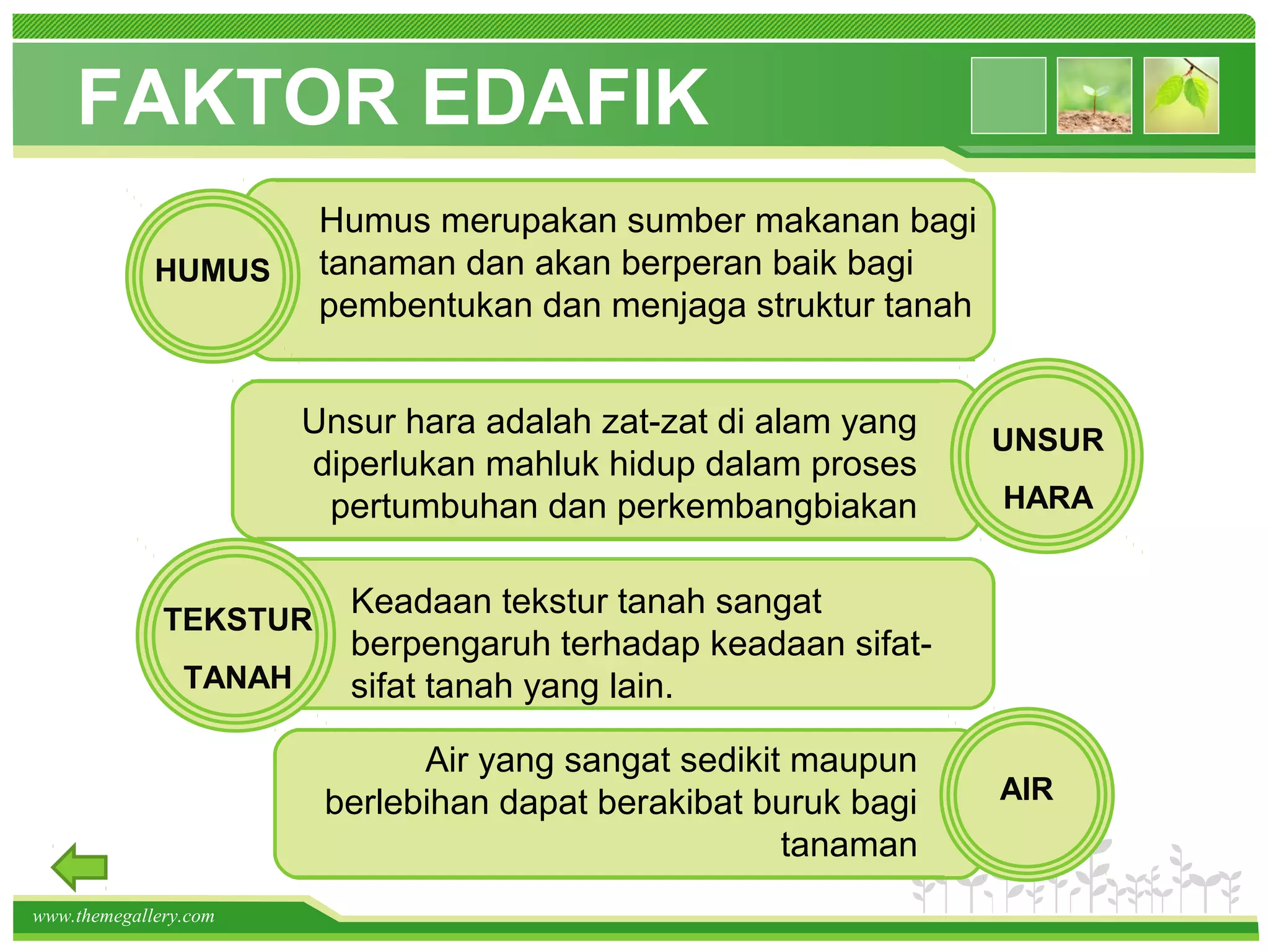 Persebaran Flora dan Fauna.pdf