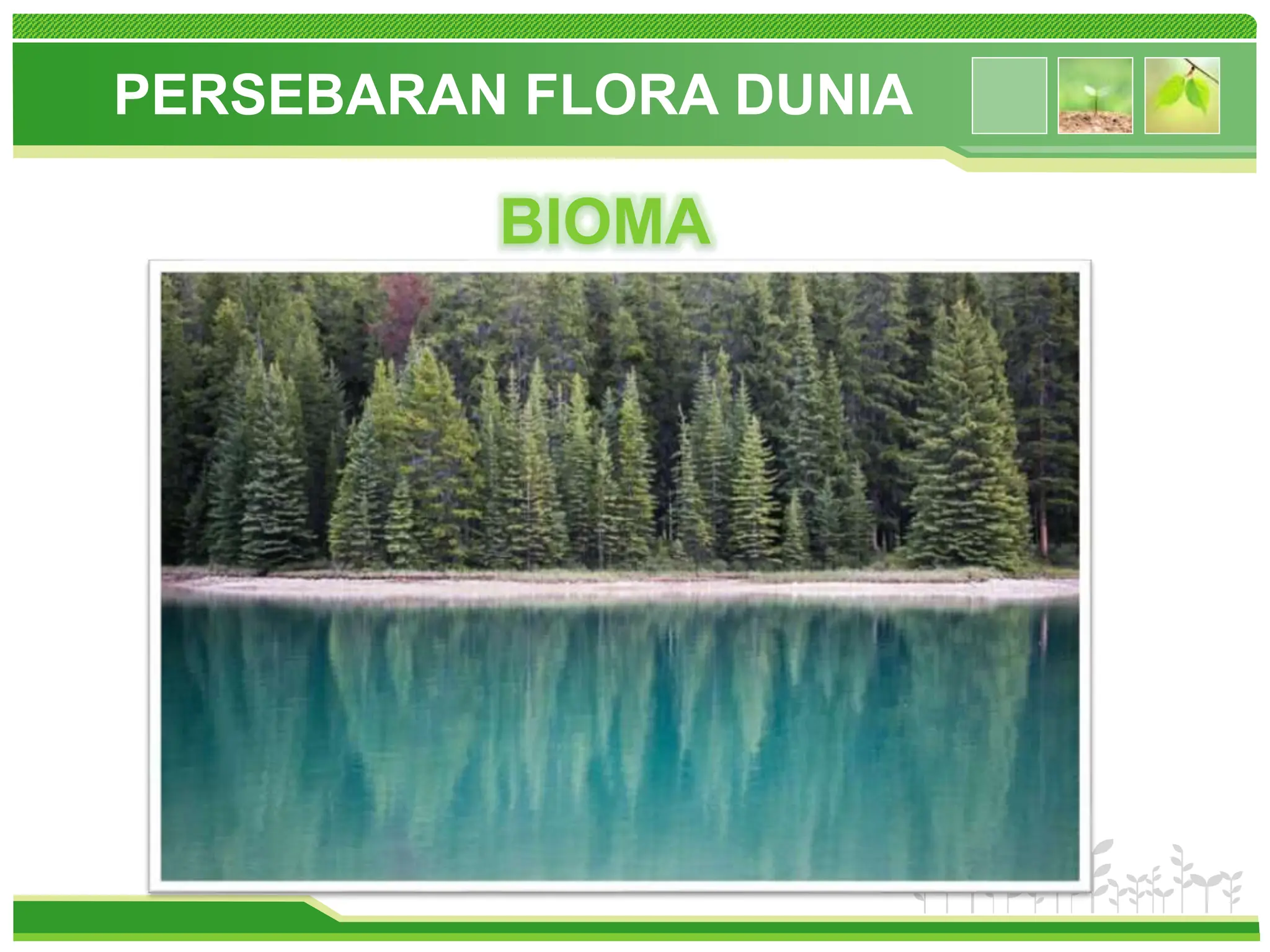 Persebaran flora dan fauna kelas XI .ppt