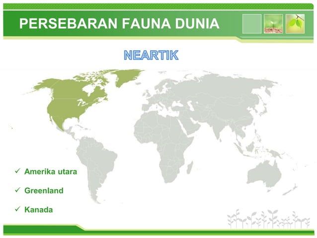 Persebaran flora dan fauna kelas XI .ppt