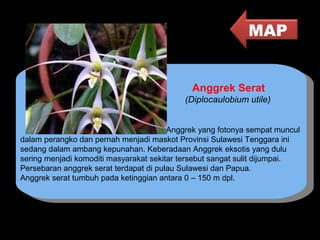 Persebaran flora dan fauna 2 | PPT