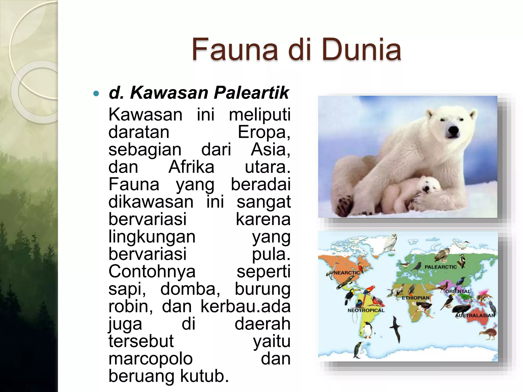 Persebaran_Flora_dan_Fauna_di_Dunia.pptx
