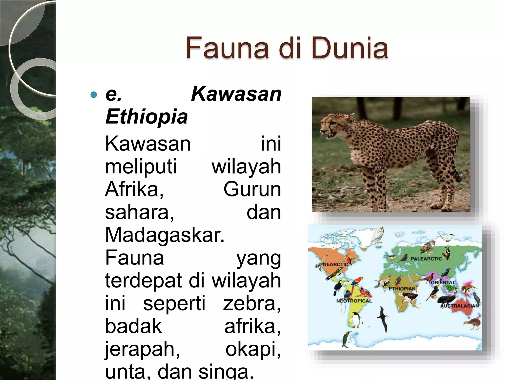 Persebaran_Flora_dan_Fauna_di_Dunia.pptx