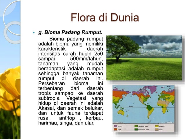 Persebaran_Flora_dan_Fauna_di_Dunia.pptx