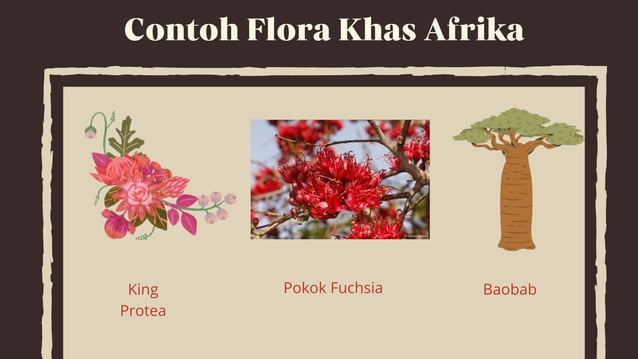 Persebaran Flora dan Fauna di Dunia.pptx