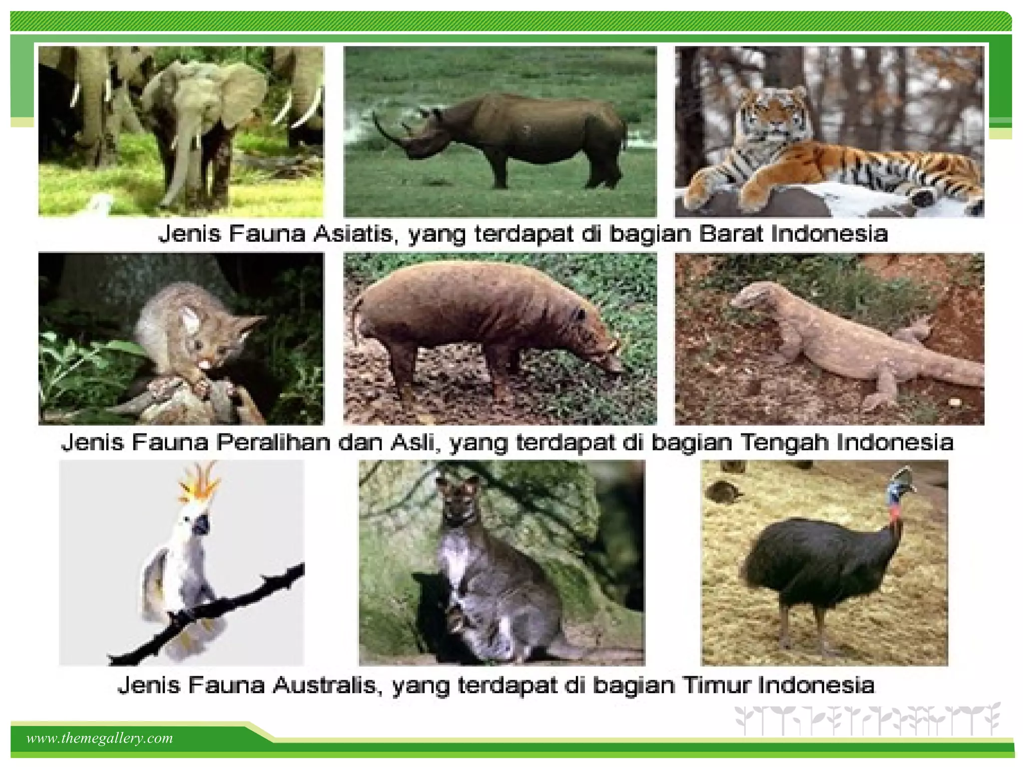 Persebaran flora dan fauna di dunia & indonesia | PPT