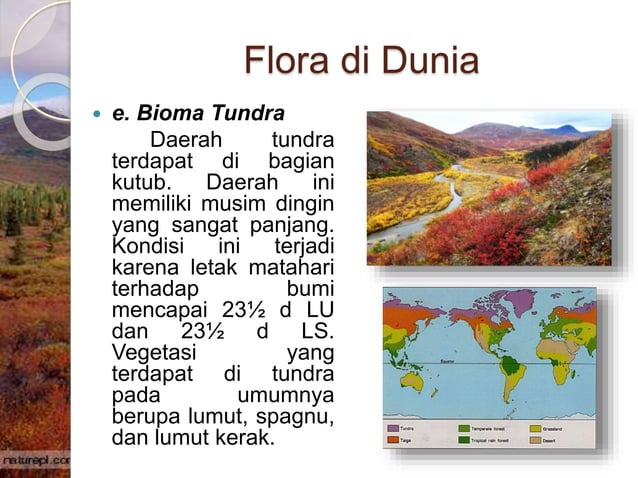 Persebaran_Flora_dan_Fauna_di_Dunia Kelompok.pptx