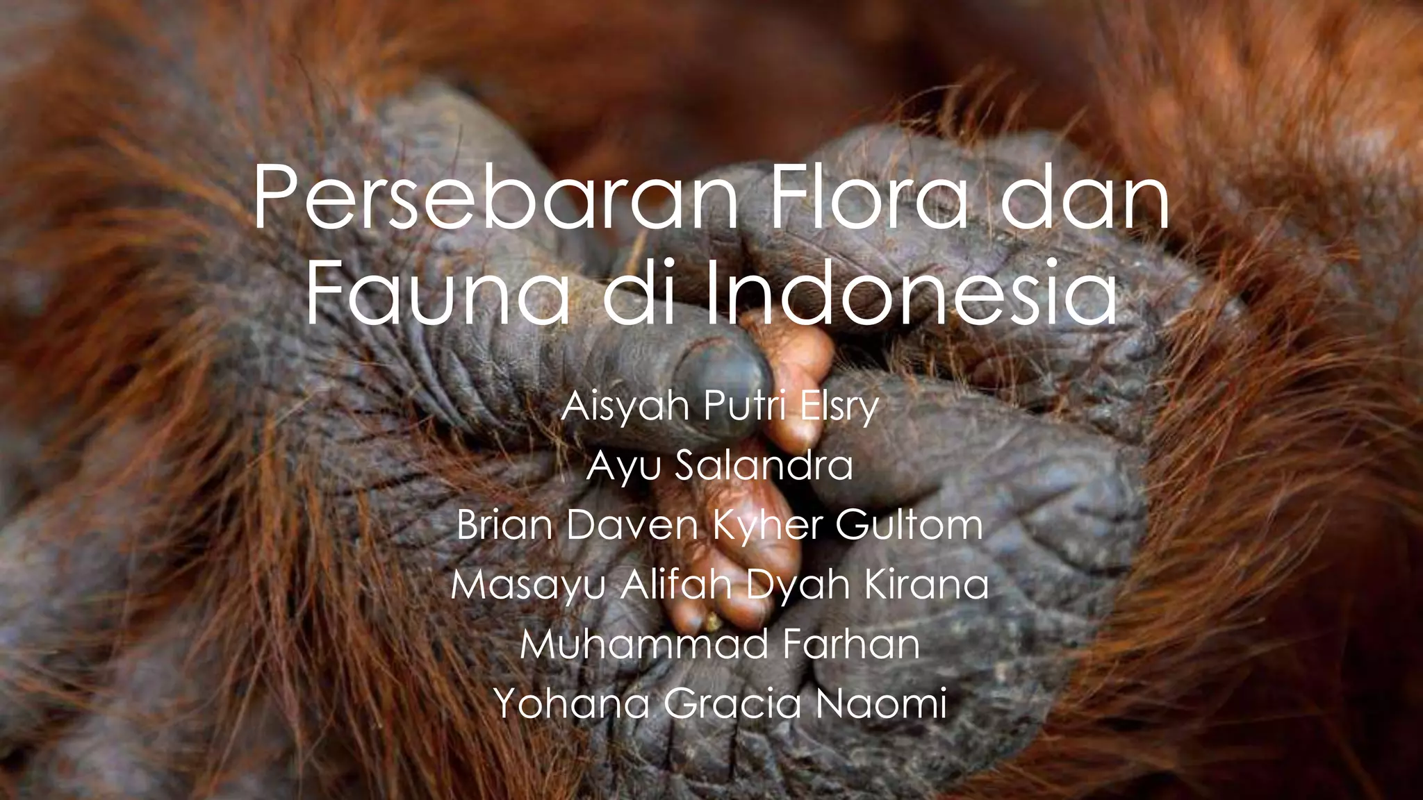 Persebaran flora dan fauna di indonesia | PPTX