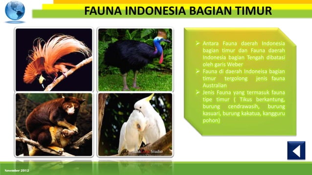 PERSEBARAN FLORA DAN FAUNA DI INDONESIA - NIA AMELIA - 1001850 | PPTX