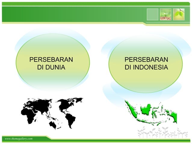 Persebaran Flora dan Fauna Indonesia dan Dunia.ppt