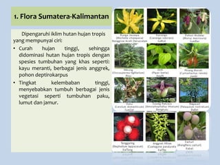 Persebaran flora di indonesia | PPTX