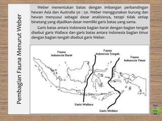 Persebaran flora di indonesia | PPTX