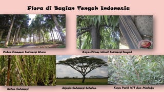 persebaran flora fauna di Indonesia_2.pptx