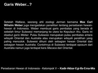 Persebaran hewan di indonesia | PPTX