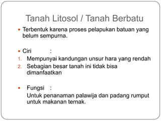 Persebaran Jenis Tanah | PPTX