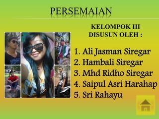 Persemaian tanaman | PPTX