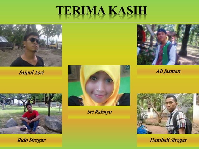 Persemaian tanaman | PPTX