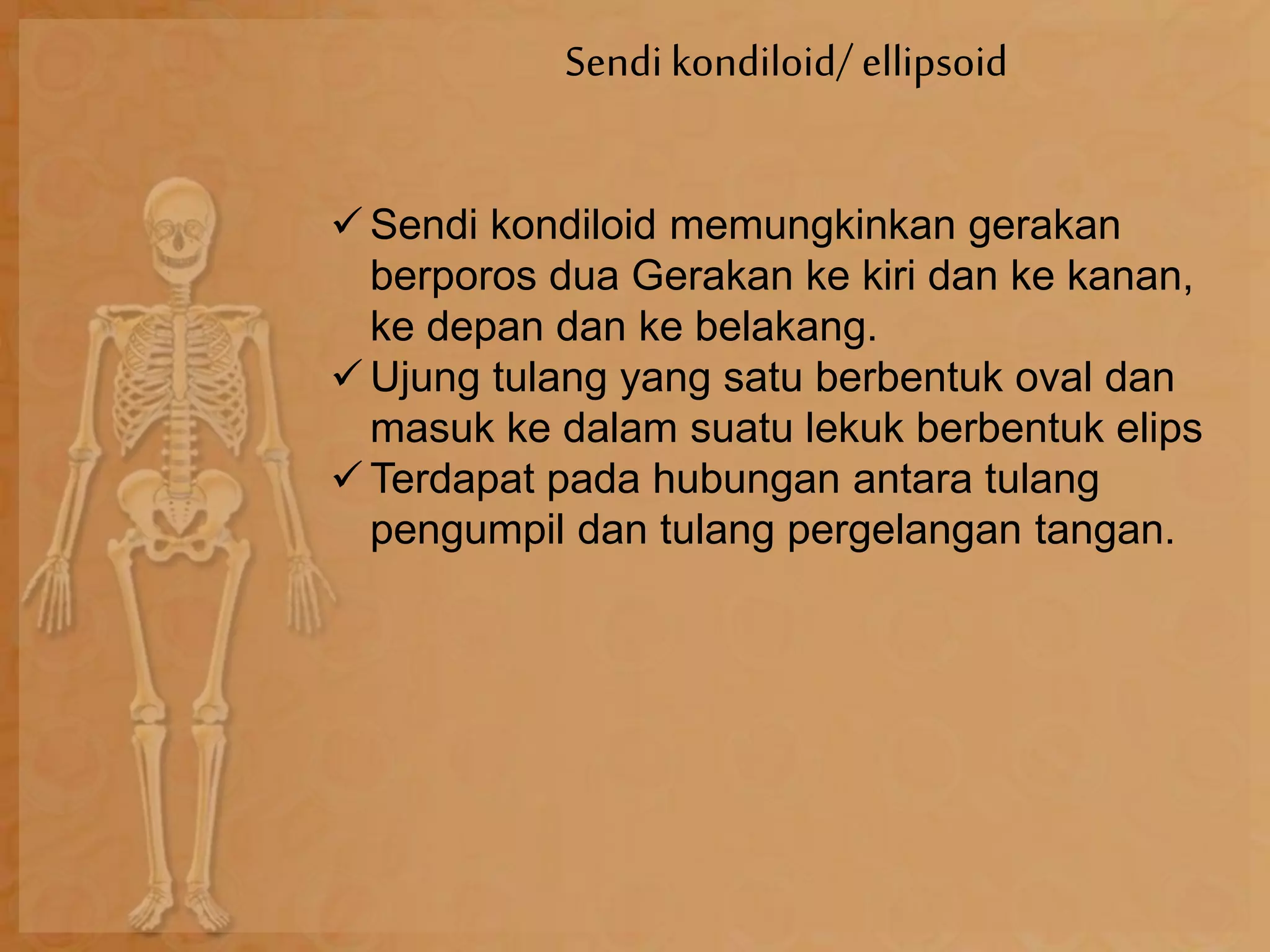 Persendian, biologi kelas xi | PPTX