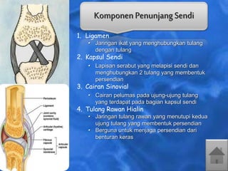 Persendian, biologi kelas xi | PPTX