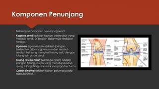 Sistem Persendian manusia dalam kehidupan sehari hari hari | PPT