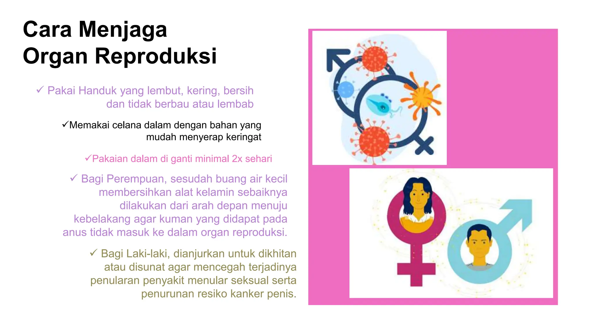 kesehatan reproduksi bagi remaja dan usia produktif | PPTX