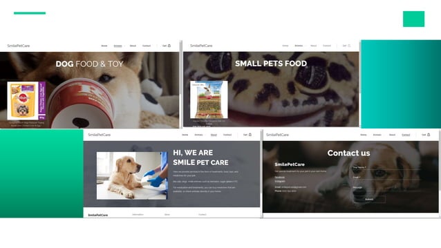 Startup Idea - Smile Petcare | PPTX