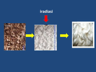 PULP IRADIASI SEBAGAI BAHAN RAYON VISKOSA YANG RAMAH LINGKUNGAN | PPT