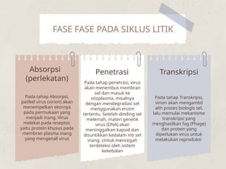 Persentasi Biologi_Kelas X 8_Kelompok 2_SIKLUS LITIK.pptx