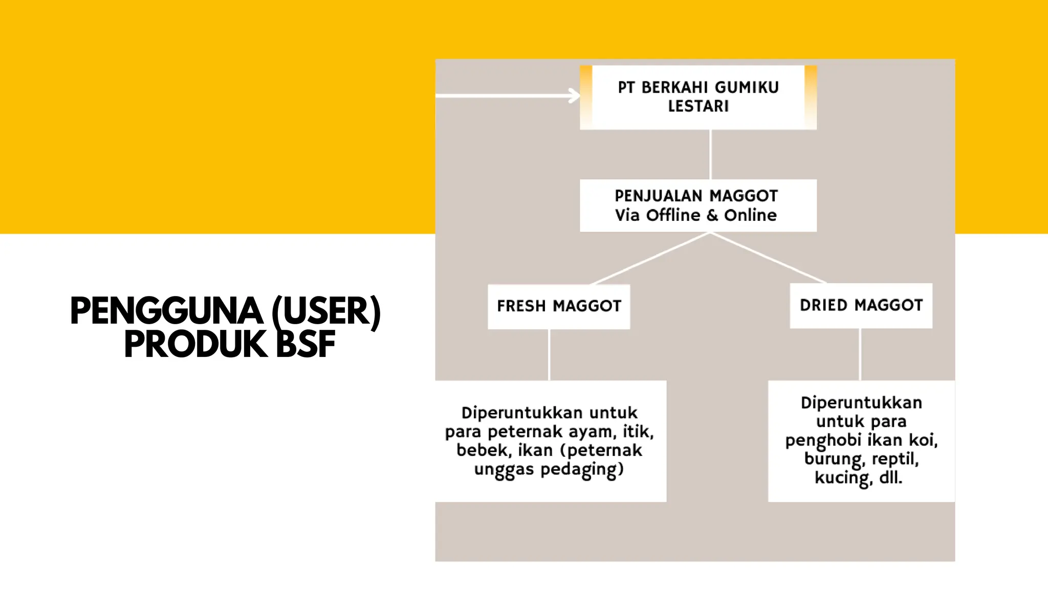 Persentasi cara budidaya maggot black soldier fly | PDF