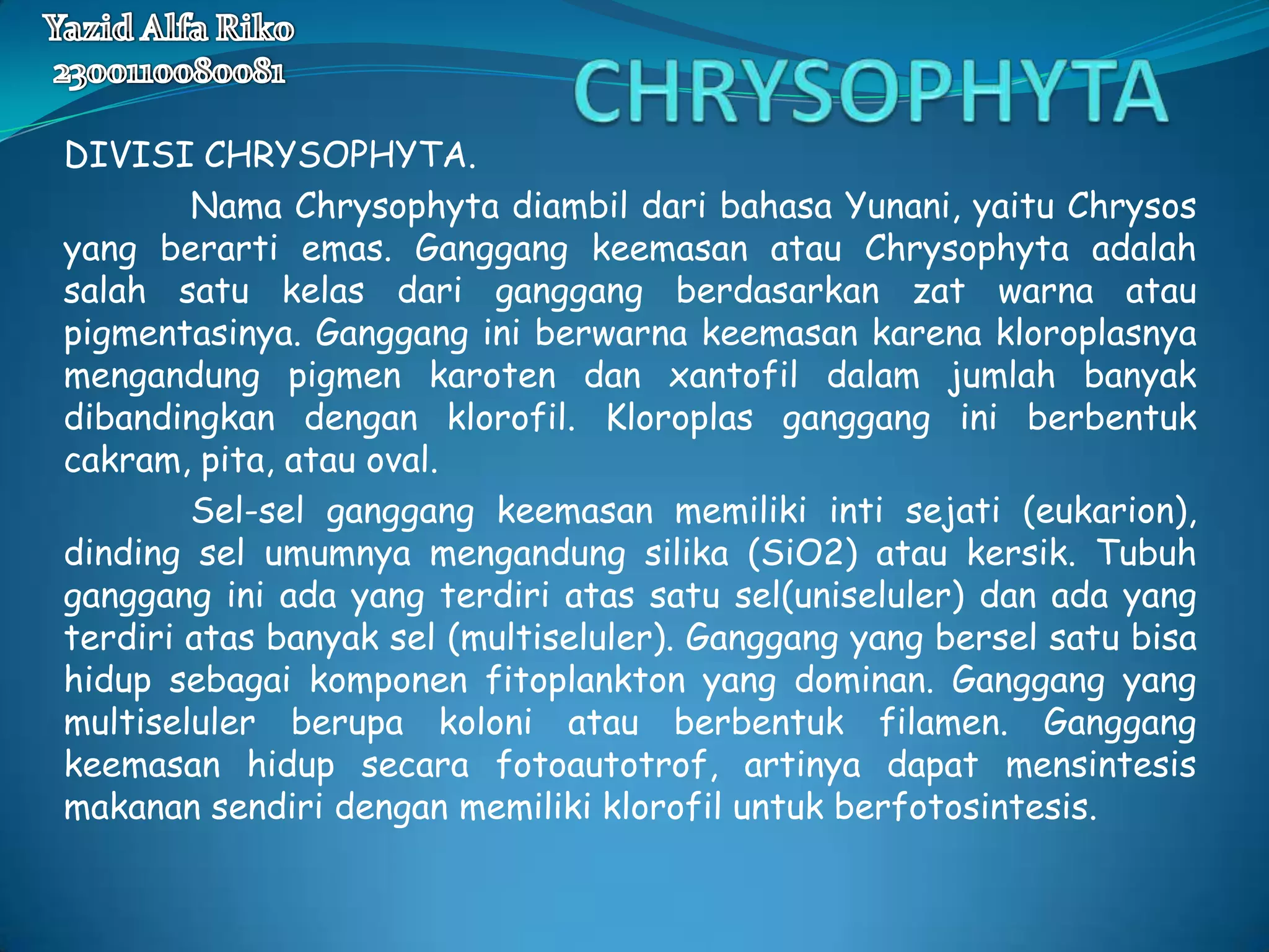 Chrysophyta | PPTX