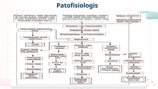 Patofisiologis penyakit hemoroid dan gejala | PPTX