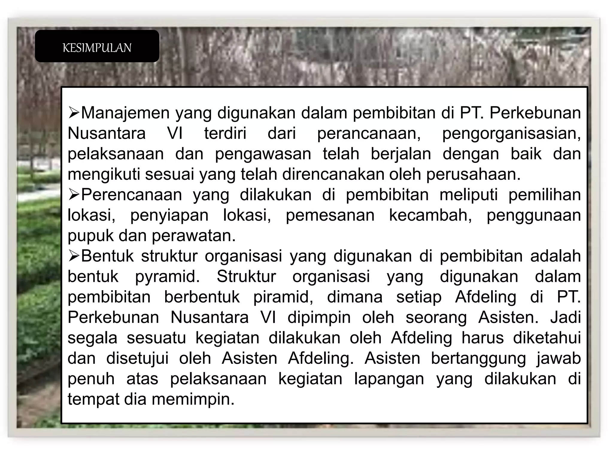 MANAJEMEN PERKEBUNAN KELAPA SAWIT | PPTX