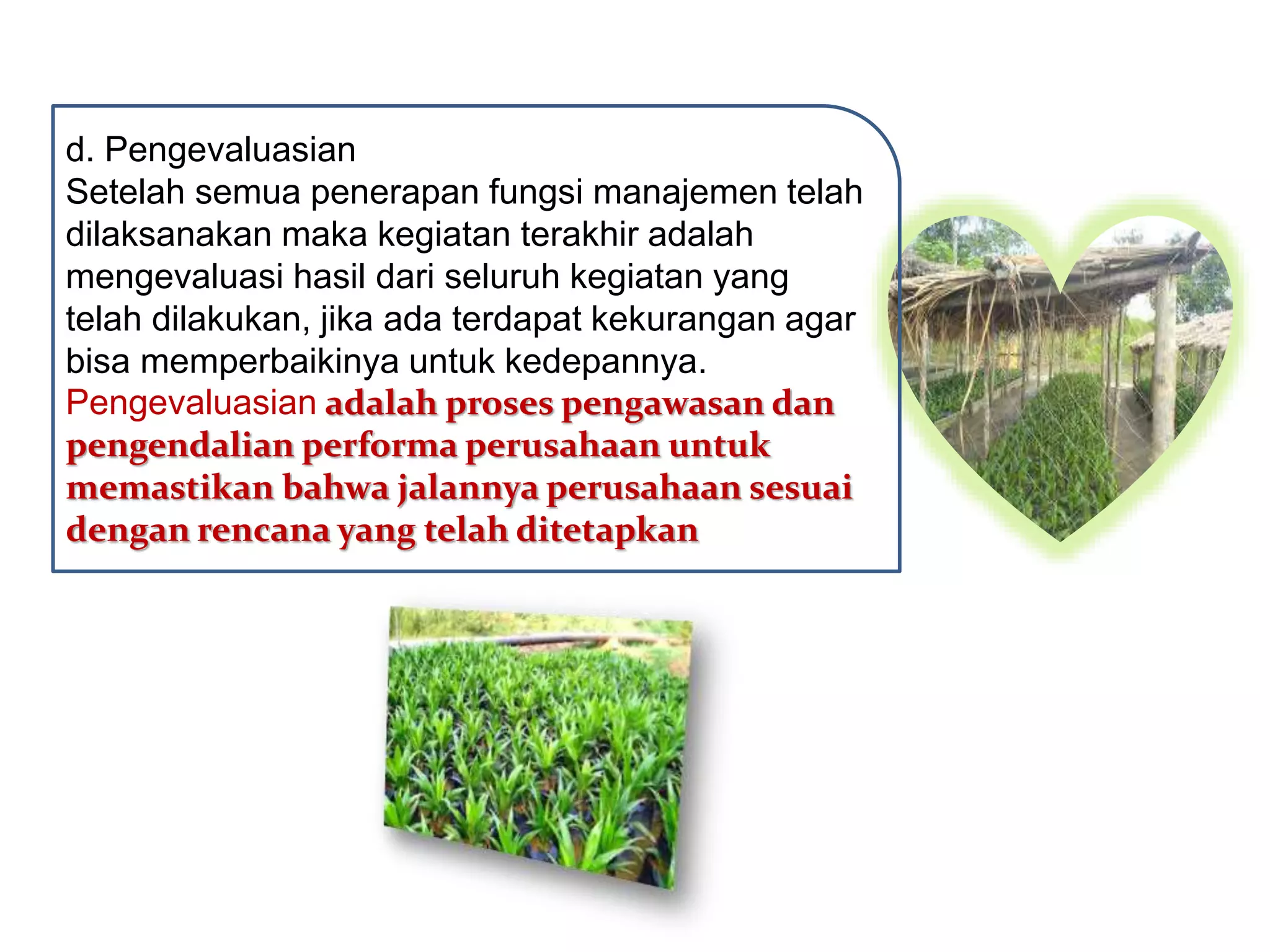 MANAJEMEN PERKEBUNAN KELAPA SAWIT | PPTX