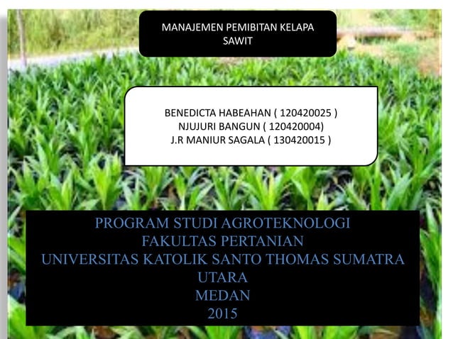 MANAJEMEN PERKEBUNAN KELAPA SAWIT | PPTX