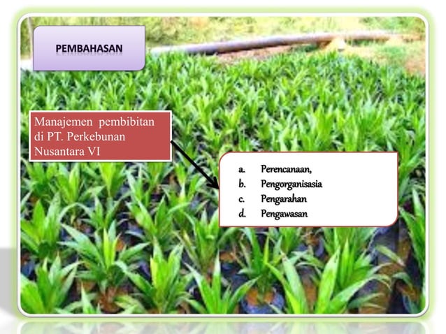 MANAJEMEN PERKEBUNAN KELAPA SAWIT | PPTX