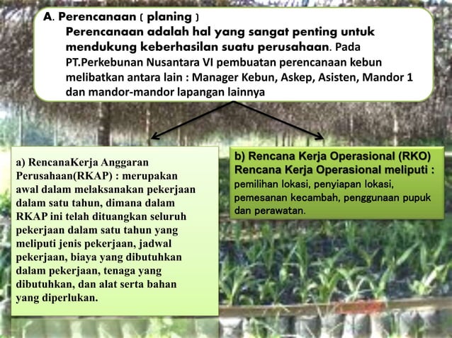 MANAJEMEN PERKEBUNAN KELAPA SAWIT | PPTX