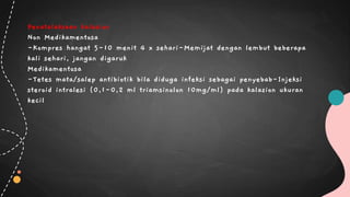 persentasi mata 2.pptx