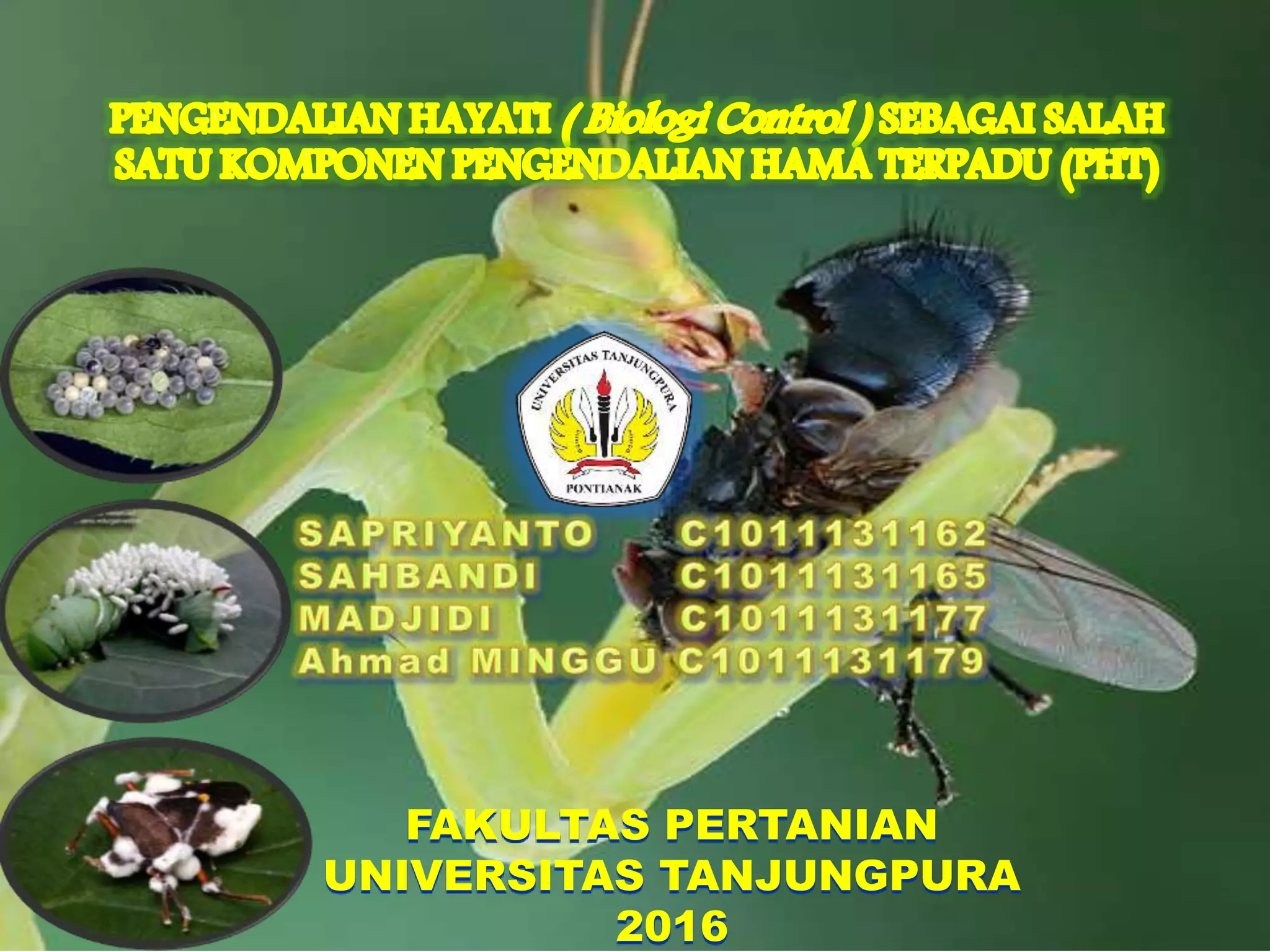 Pengendalian HAYATI SEBAGAI SALAH SATU KOMPONEN PENGENDALIAN HAMA ...