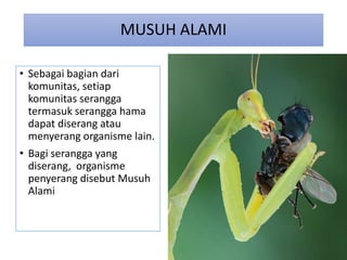 Pengendalian HAYATI SEBAGAI SALAH SATU KOMPONEN PENGENDALIAN HAMA ...