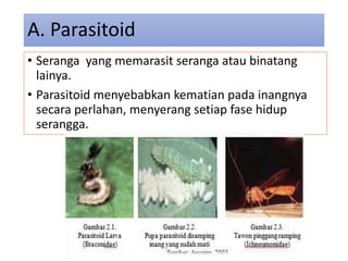 Pengendalian HAYATI SEBAGAI SALAH SATU KOMPONEN PENGENDALIAN HAMA ...