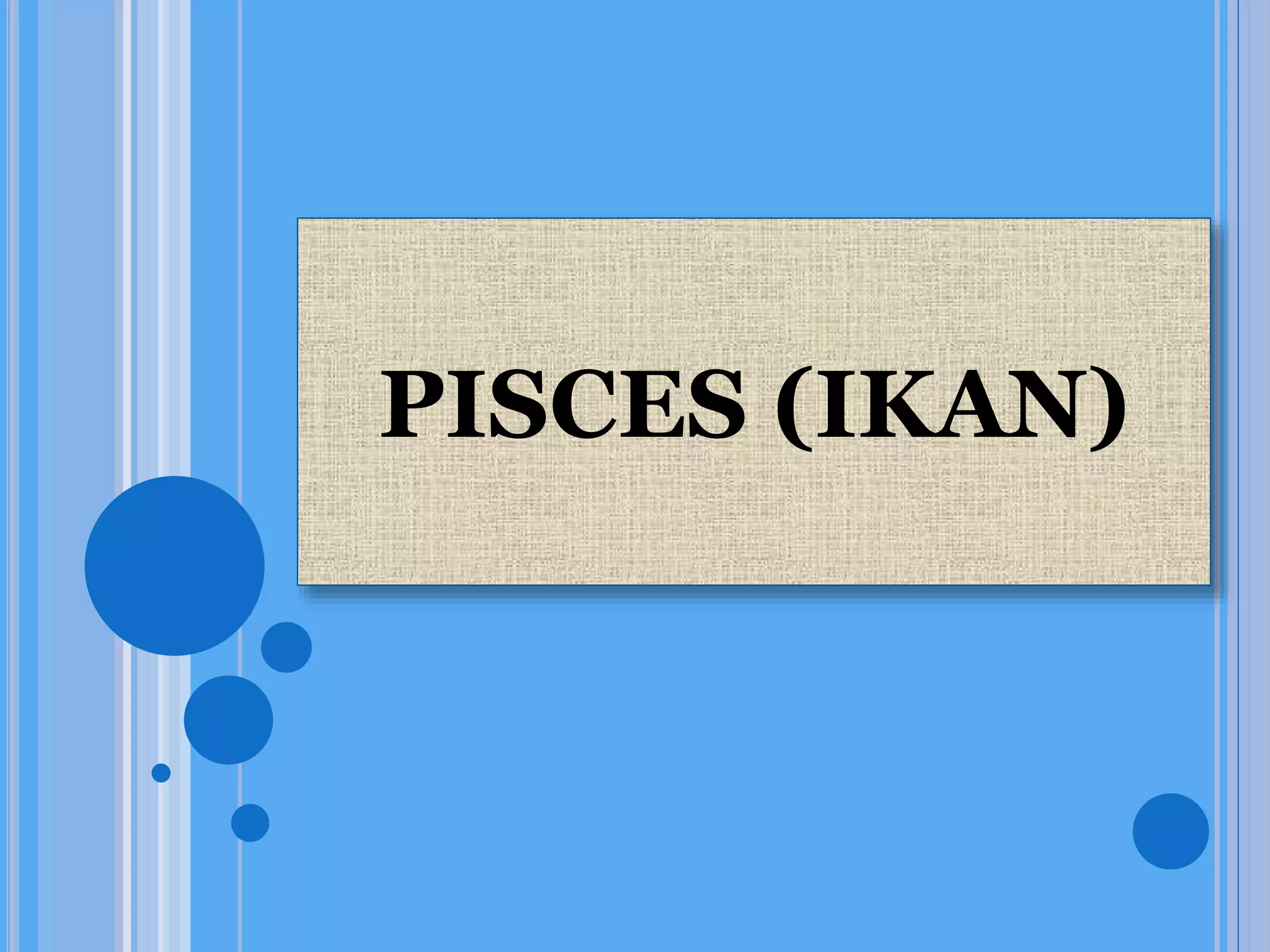Zoologi vertebrata Persentasi pisces (ikan) | PPTX
