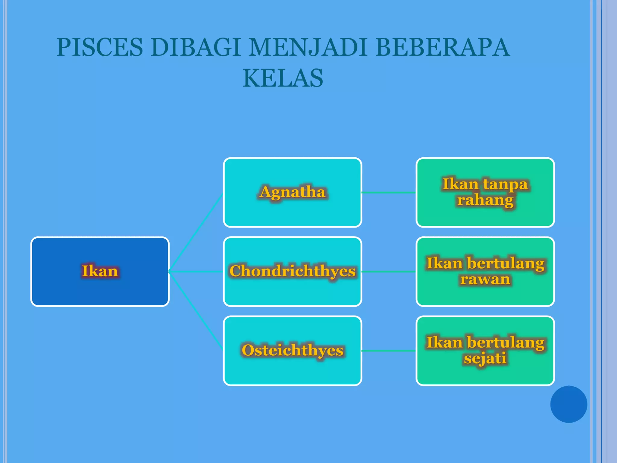 Zoologi vertebrata Persentasi pisces (ikan) | PPTX